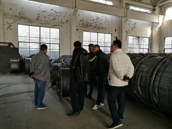 Customers visit us for Brunei's transmission line Project